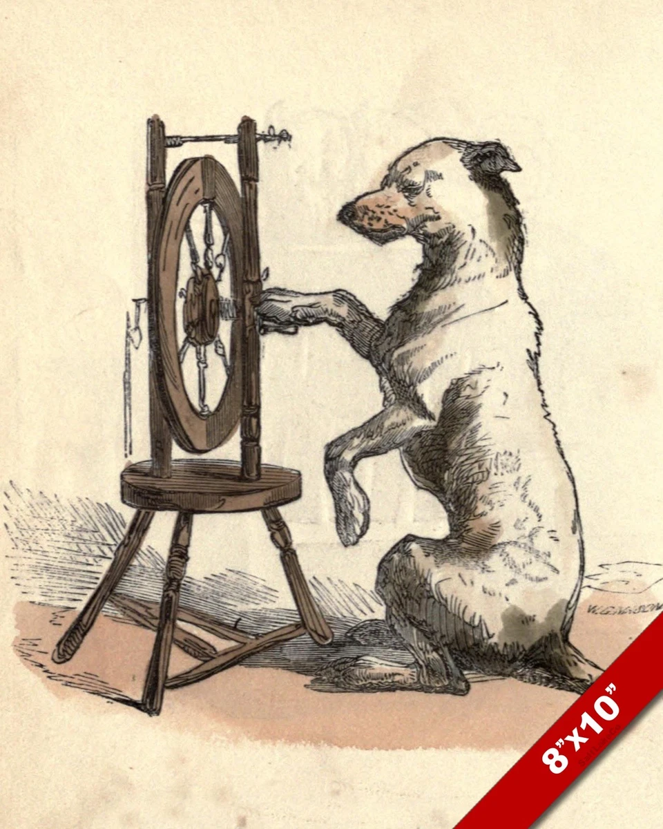 Thread Painting Animals