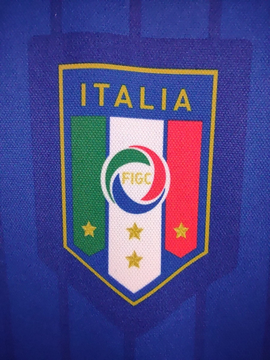 Italy Soccer Team Logo