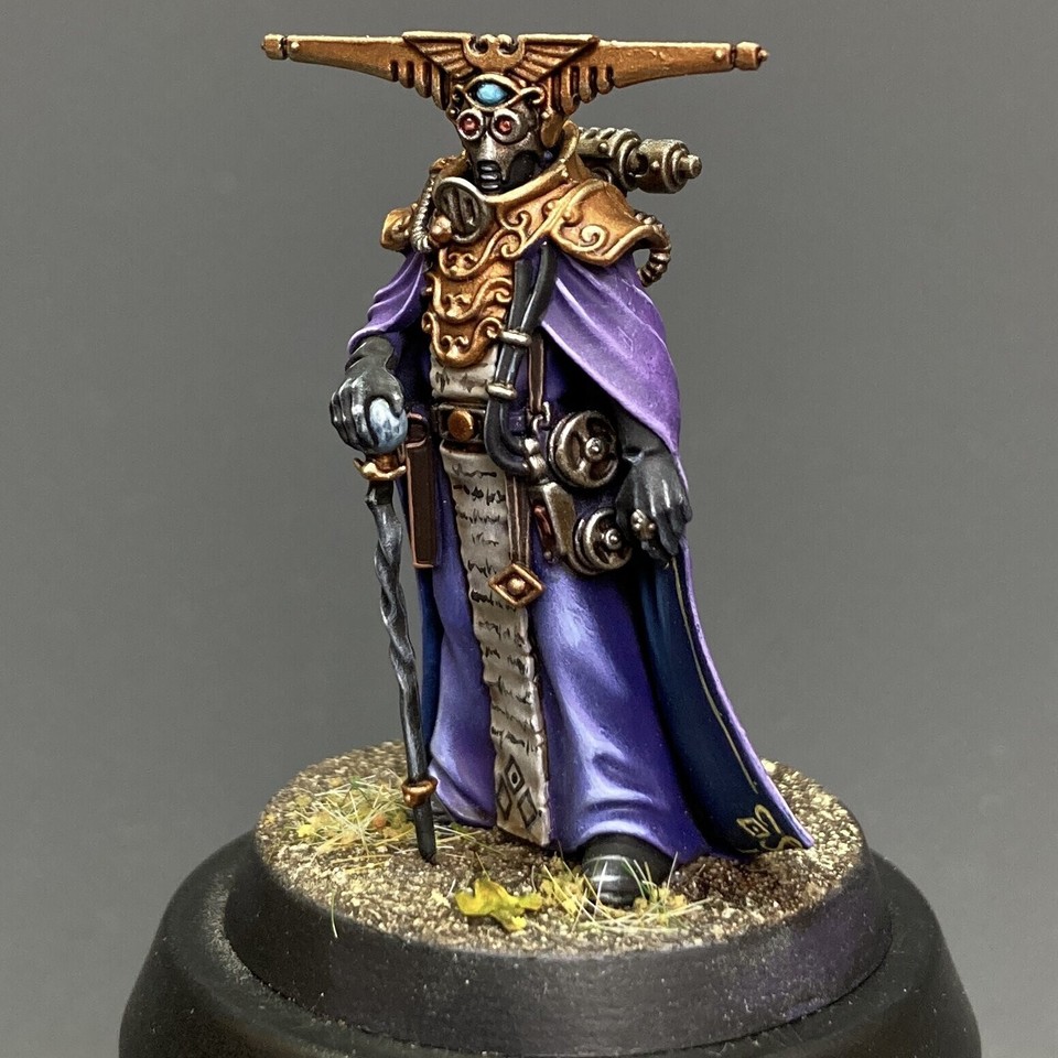 Imperial Agents Navigator Warhammer 40K Presale Painted Gallery ...