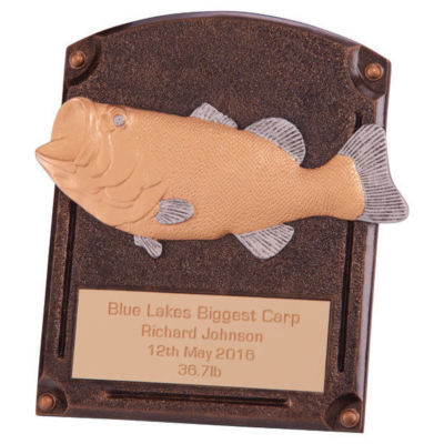 Personalised Biggest Carp Award Fishing Trophy Plaque Engraved With Any ...