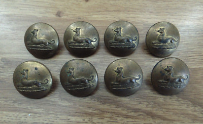 8 x ANTIQUE FIRMIN & SONS LTD LIVERY BUTTONS - RECUMBANT DOG GREYHOUND ...