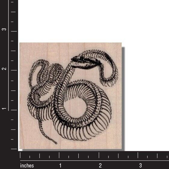 SNAKE SKELETON, Rubber Stamp, Snake, Southwest, Bones, Animal, Skeleton ...
