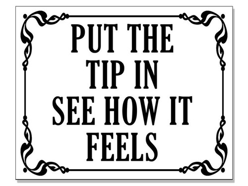 3x4 inch WHITE Put The Tip in See How It Feels Sticker (funny rude jar ...