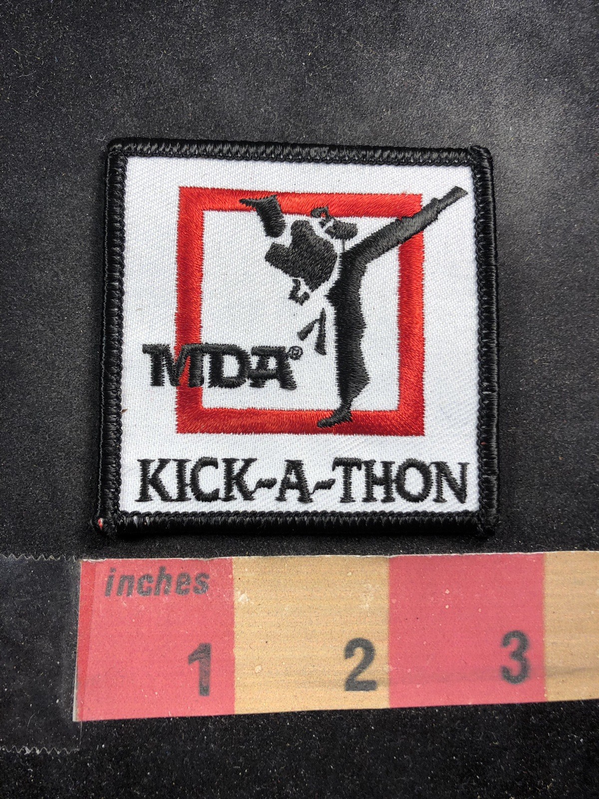 MDA Muscular Dystrophy Association Kick-A-Thon Martial Arts Themed ...