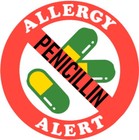 Allergy Alerts Anaphylaxis ALLERGIC Allergen ALERT BADGE ALLERGY BADGE ...