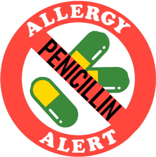 Allergy Alerts Anaphylaxis ALLERGIC Allergen ALERT BADGE ALLERGY BADGE ...