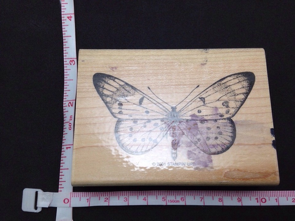 Stampin Up Wonderful Wings Stamp Lacewing Butterfly 2001 Retired Wood ...