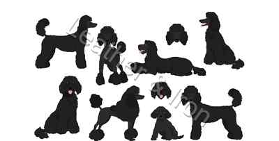 New Poodle Black Dog Vinyl Checkbook Cover | eBay
