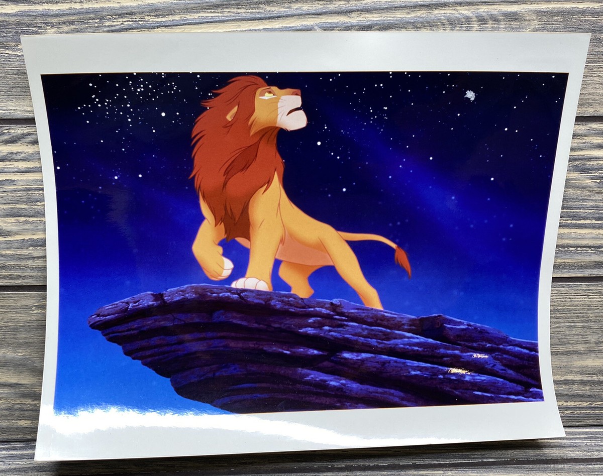 Lion King Pride Rock Drawing
