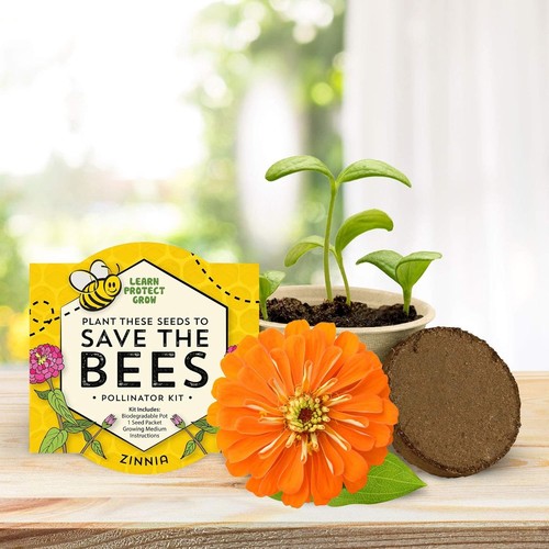 Buzzy Seeds Save The Bees Biodegradable Grow Kit | Herb, Plant, Asst ...