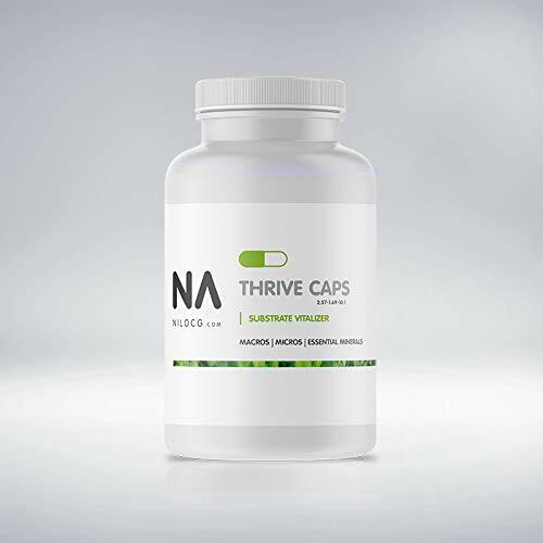 ThriveCaps | Aquarium Root Tab/Caps | NA Premium Root Caps 60 Count(1 ...