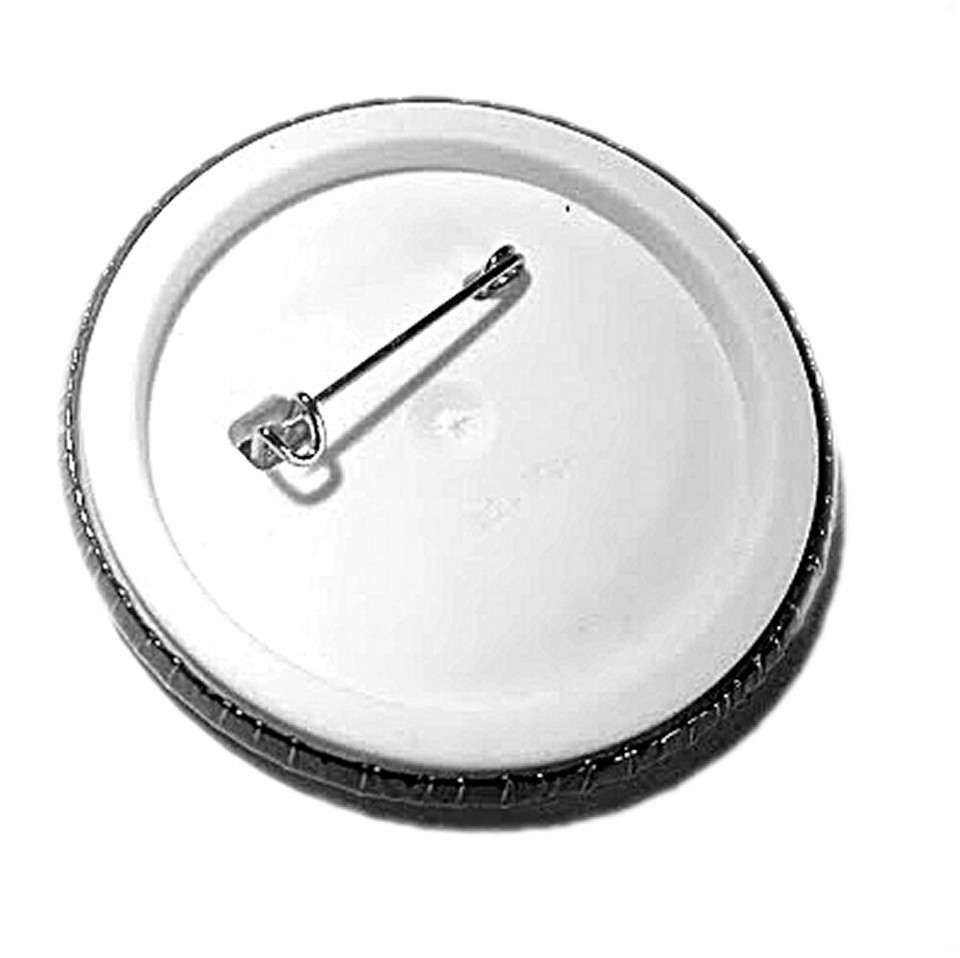 REFORM UK -BRITISH POLITICAL RICHARD TICE PARTY ELECTION BADGE 55mm ...