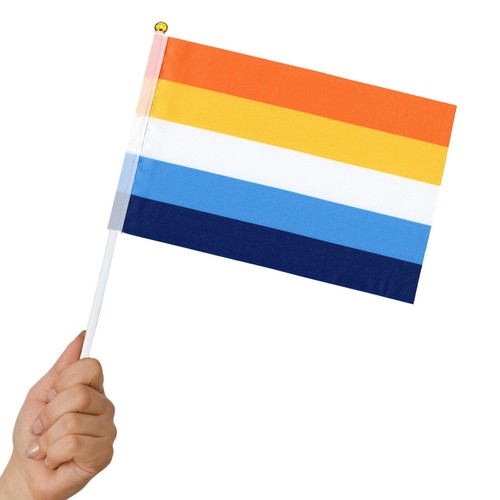 AROACE Pride Mini Stick Flags - LGBTQ+ Small Hand Held Party Parade ...