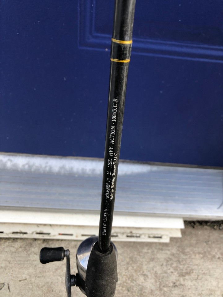 Berkley Stinger Fishing Rod Pole w Zebco Authentic 11 Micro Reel | eBay