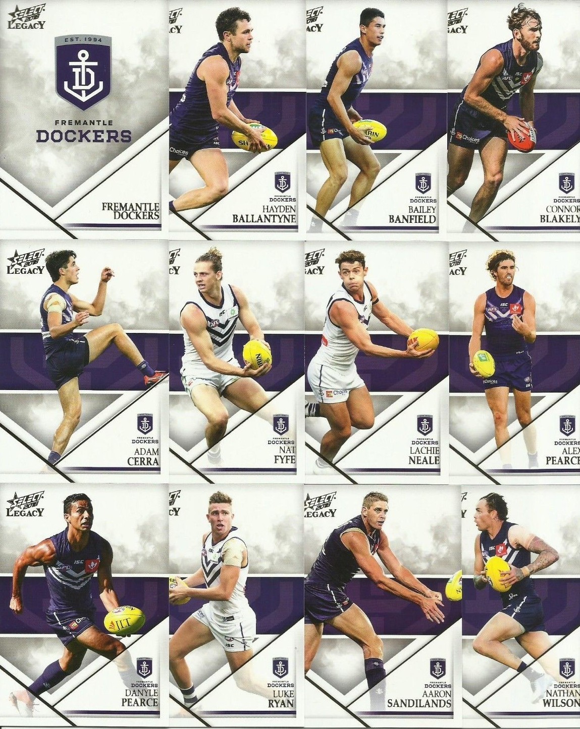 2018 select LEGACY FREMANTLE DOCKERS COMMON TEAM SET 12 cards SERIES 2 ...