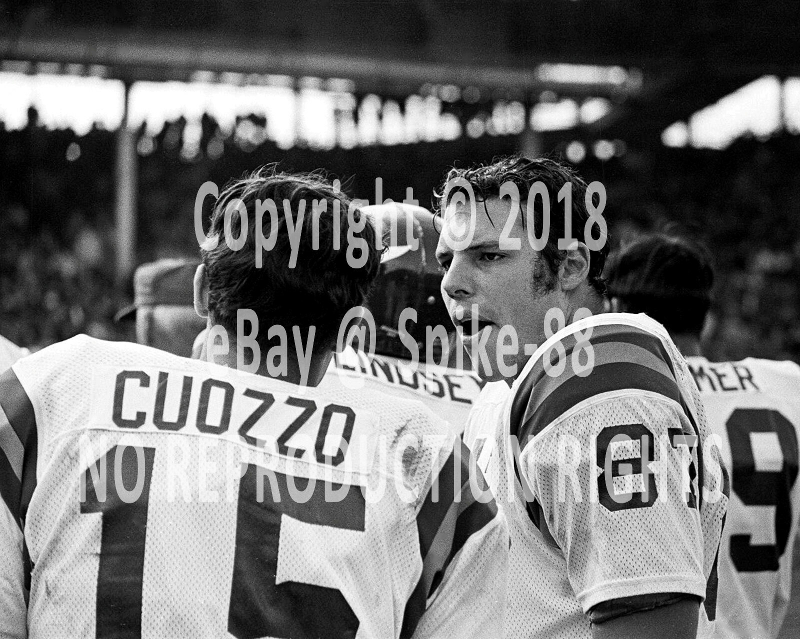 JOHN BEASLEY & GARY CUOZZO MINNESOTA VIKINGS SIDELINES 1970 WRIGLEY ...