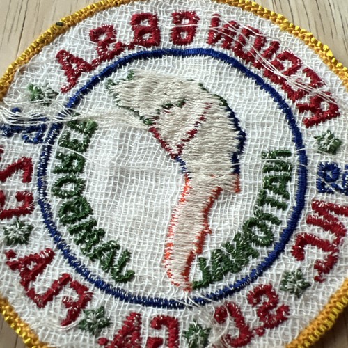 BSA 1964 NC SC GA Fla CZ Region 6 National Jamboree Patch | eBay