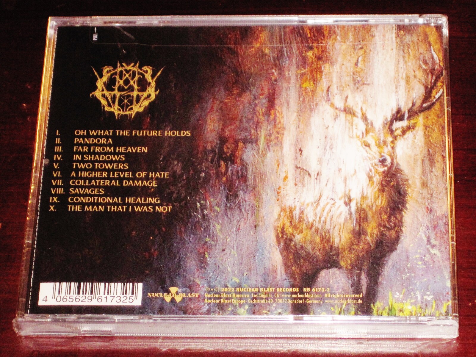 Oh What the Future Holds by FIT for an Autopsy (CD, 2022) for sale ...