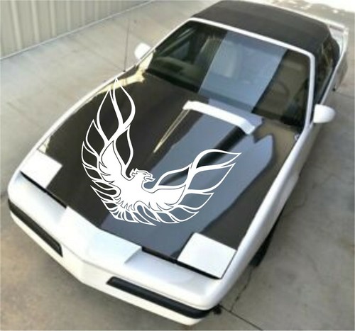 Firebird Fits Pontiac Firebird Hood Vinyl Graphics Decals Install Kit ...