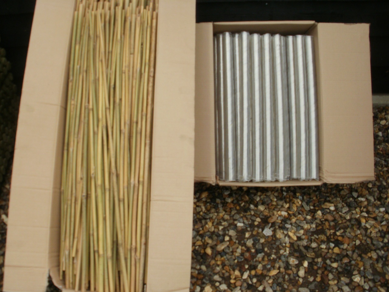 100 Spiral Rabbit Tree Guards 60cm & bamboo canes for plant protection ...