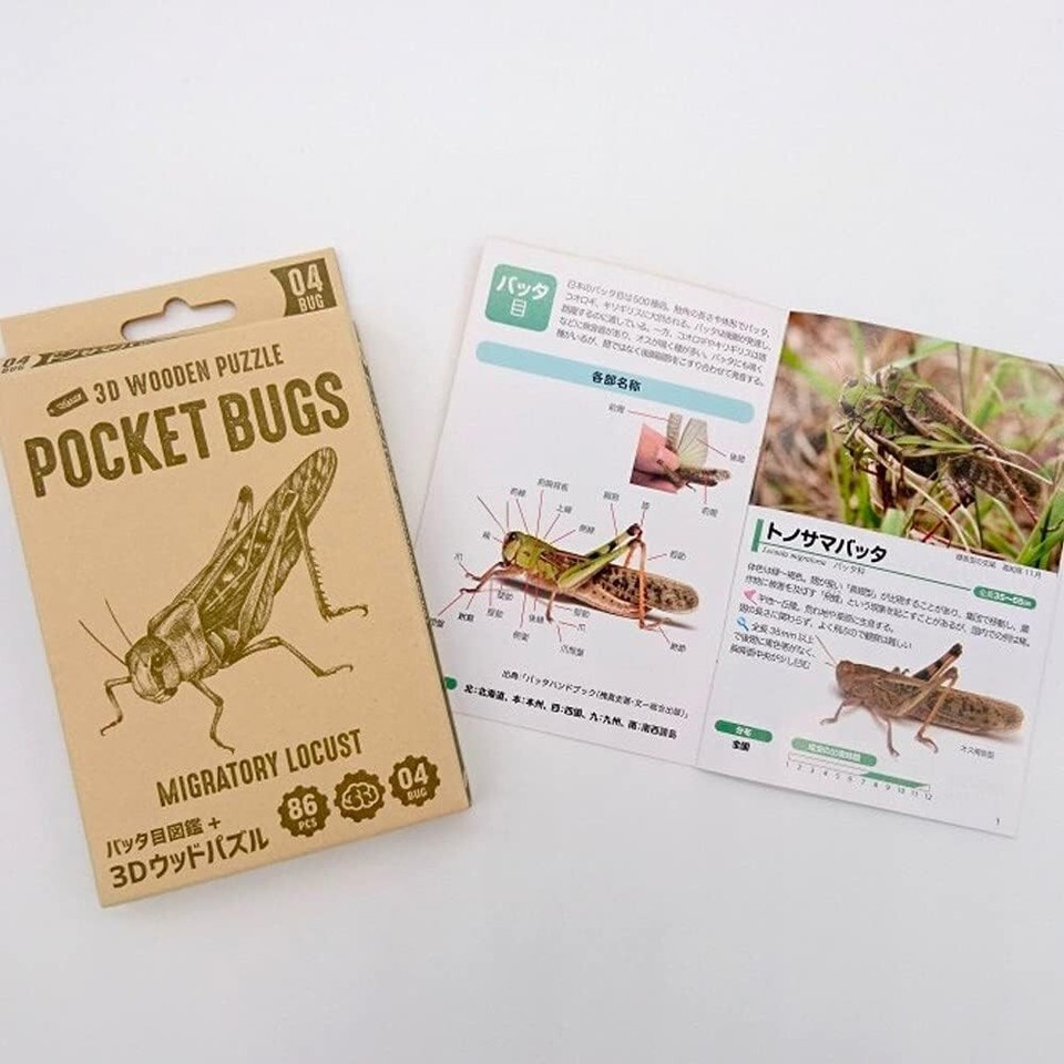 Tsukurun-desu® Japan Official Sales, Pocket Bugs, (Tonosama Grasshopper ...