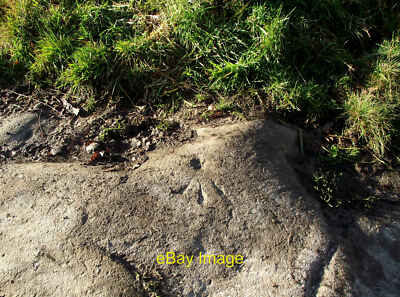 Photo 6x4 Bench mark on the bridleway Biddulph I had been searching ...