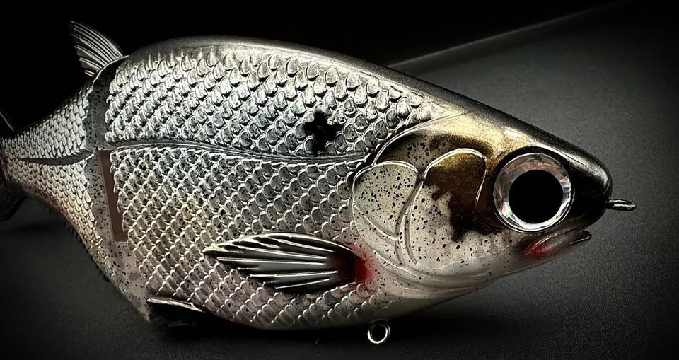 HINKLE SHAD CLONE CUSTOM PAINTED GIZZARD SHAD SWIMBAIT - EBAY'S #1 HINK ...