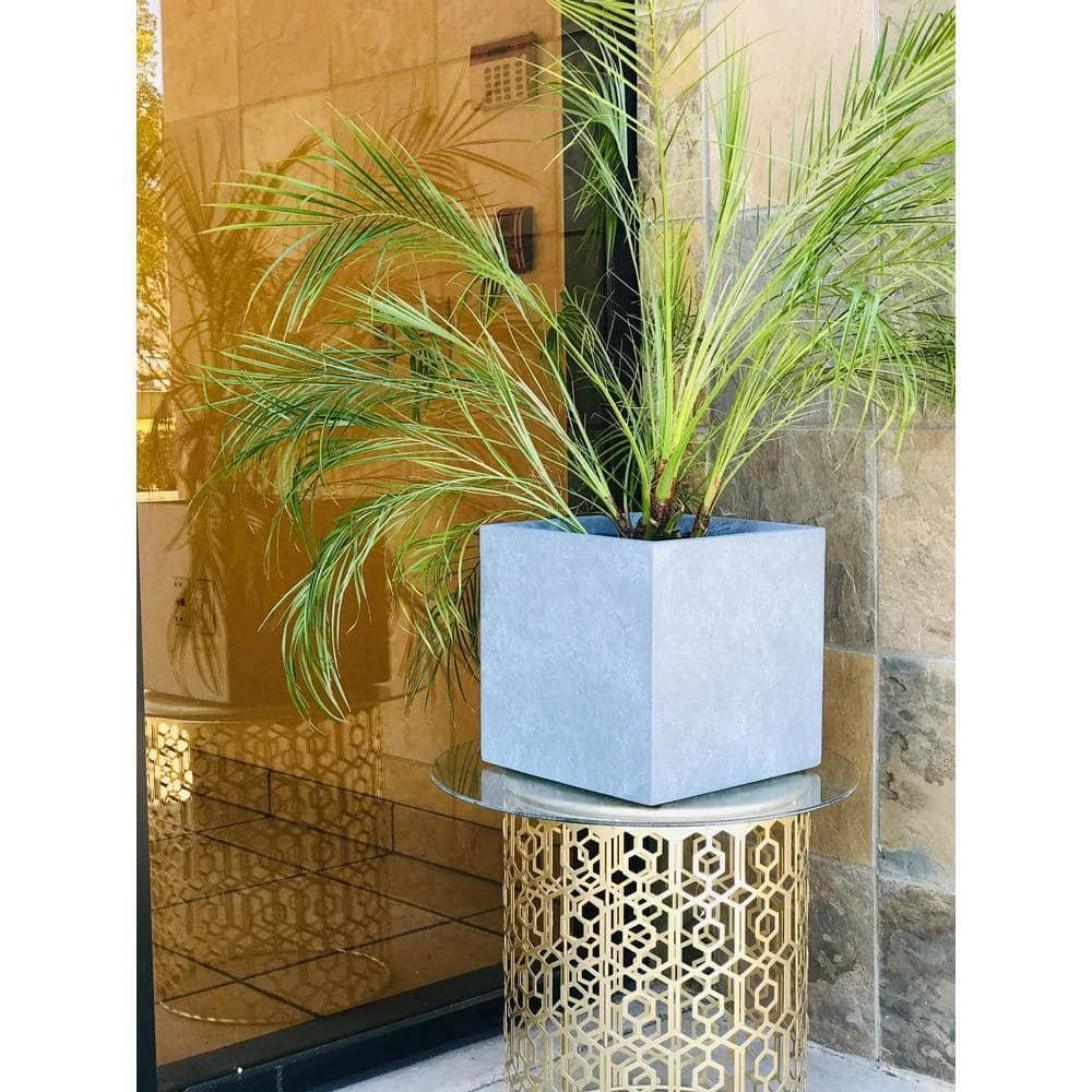 Modern Outdoor Pot Plants