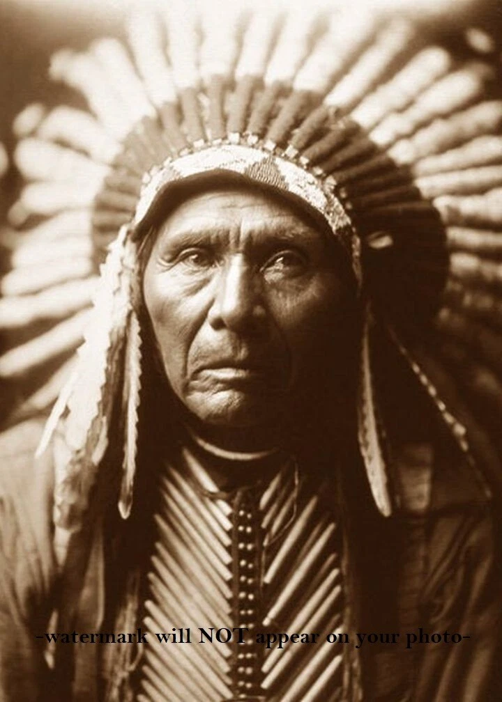 Lakota Sioux Warrior