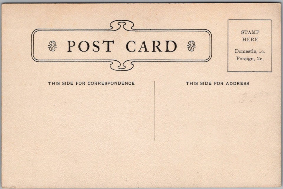 Postcard Luna Park; Mansfield, Ohio; Wood Roller Coaster Dw | eBay