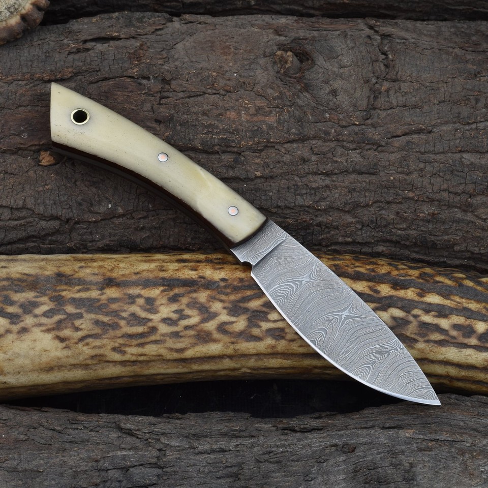 Knives Ranch 7" Hunting Knife, EDC Fixed Blade - Rosewood/Cattle Bone ...