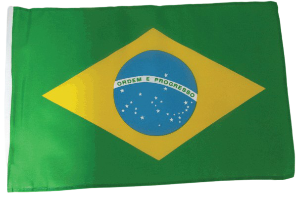 Courtesy Flag 1.5ft x 1ft Sleeved Polyester 180+ designs FREE P&P | eBay UK