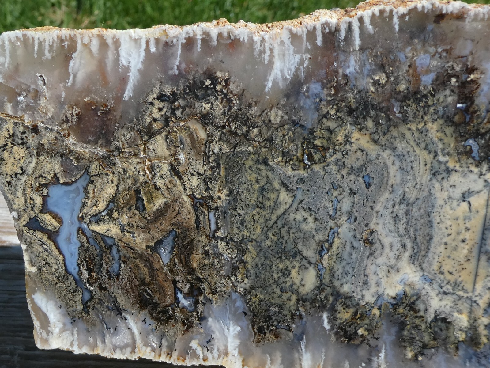 TCR GRAVEYARD POINT PLUME AGATE/JASPER/LAPIDARY POLISHED SLAB 350 GRAMS ...