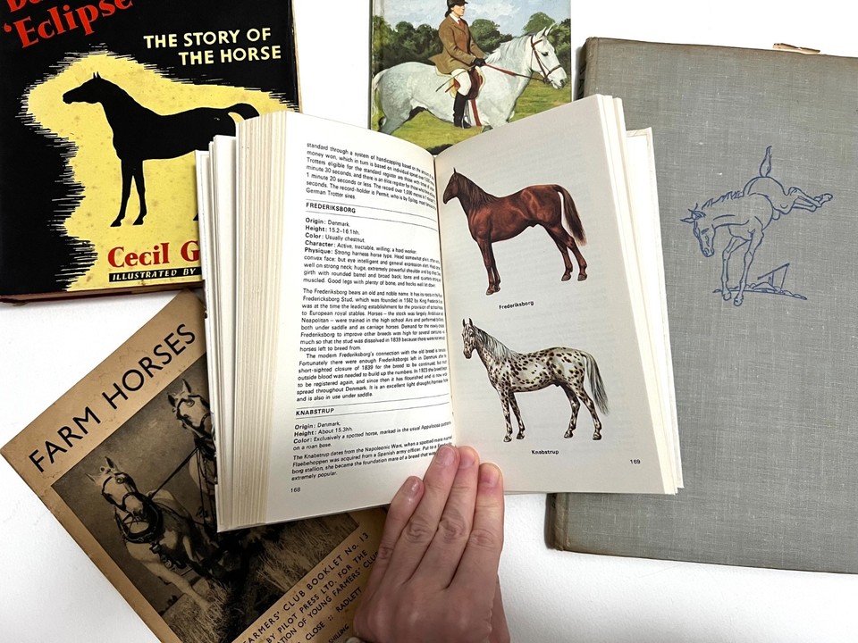 RARE VINTAGE HORSE BOOKS x 5 Illustrated (1939–1986) RIDING Breeds FARM ...