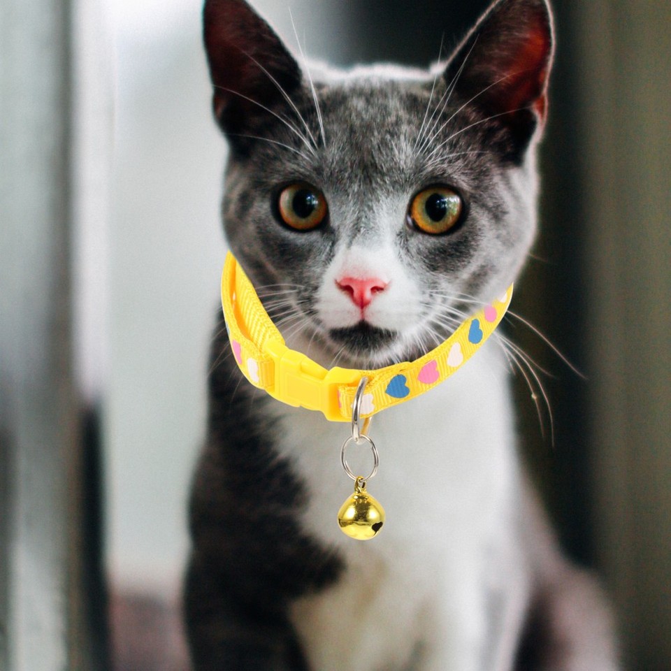 10 Pcs Heart Pattern Adjustable Collar For Pet Dog Cat Collar With Bell ...