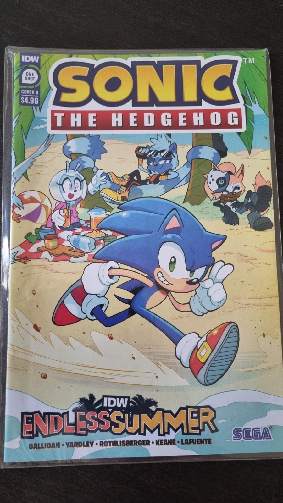 Sonic the Hedgehog Endless Summer One Shot - Cover B - IDW Publishing ...