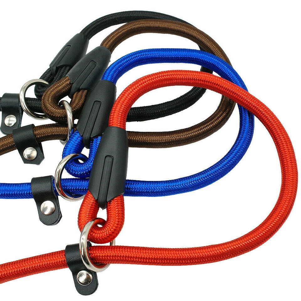 Durable Nylon Slip Lead Dog Leash Adjustable Pet Puppy Training Collar ...