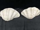 Giant Clam Shell Wall Sconces Original Tridacna Gigas | eBay