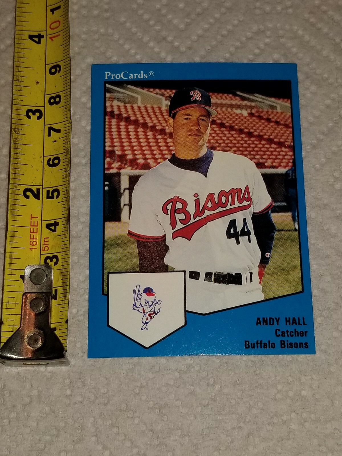 1989 PROCARDS ANDY HALL BASEBALL CARD BUFFALO BISONS #1672 | eBay