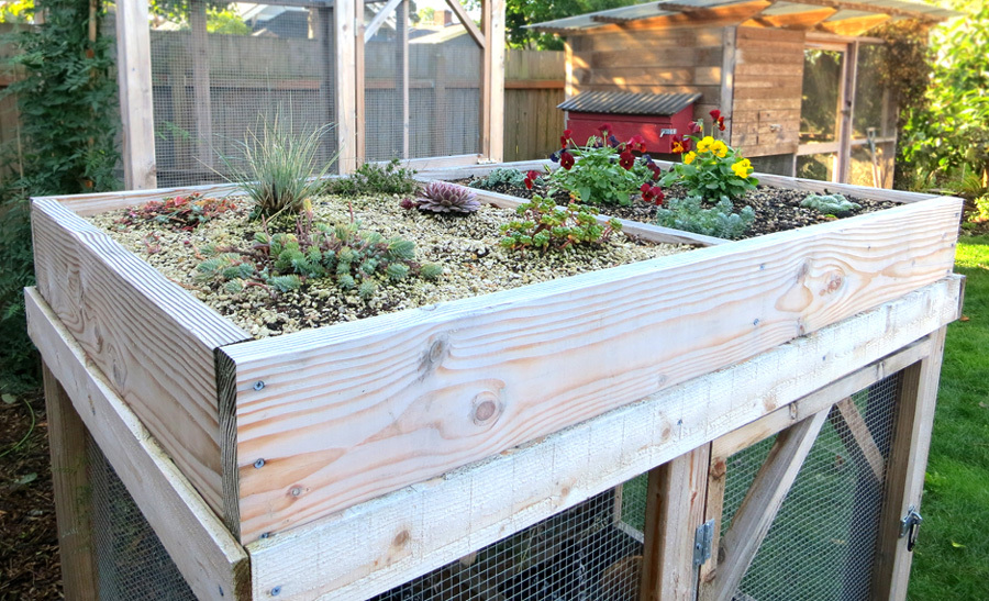 Chicken/Rabbit Run Plans: The Garden Run Half-Height (eBook on USB ...