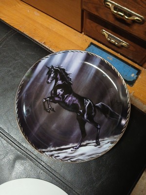 Dark splendor unbridled mystery plate collection | eBay