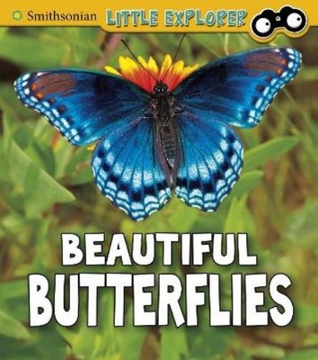 Melissa Higgins Beautiful Butterflies (Paperback) Insect Explorer (UK ...