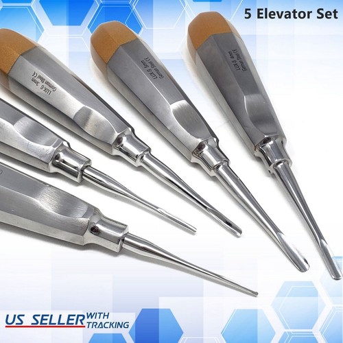 5 Pcs Straight Dental Surgery Extracting Luxating Apical Root Tip ...