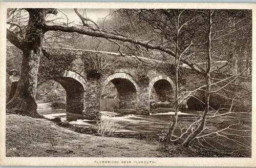 Plymbridge Near Plymouth United Kingdom Penn Series Postcard | eBay