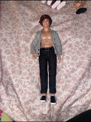 Harry Styles Doll | eBay