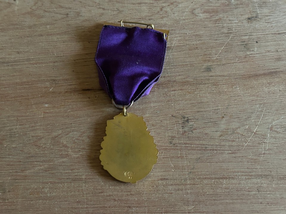 Odd Fellows 1926 Encampment Badge Medal Pin Ribbon FOB New York ...