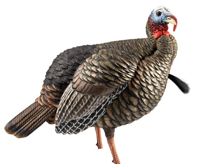 Avian X AVXAVX8105 HDR Jake Turkey Decoy Multi Color | eBay