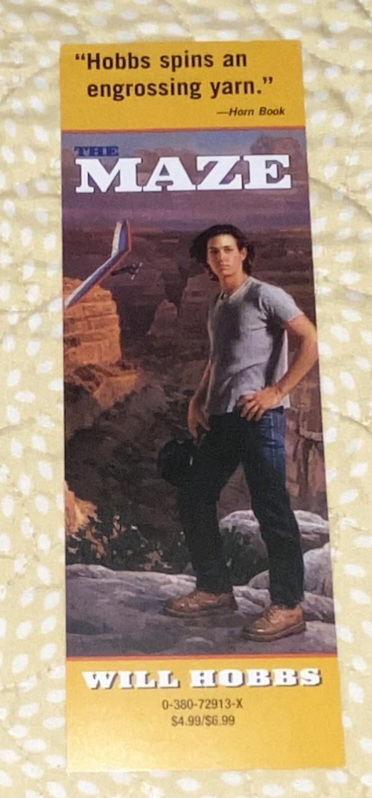 The Maze By Will Hobbs