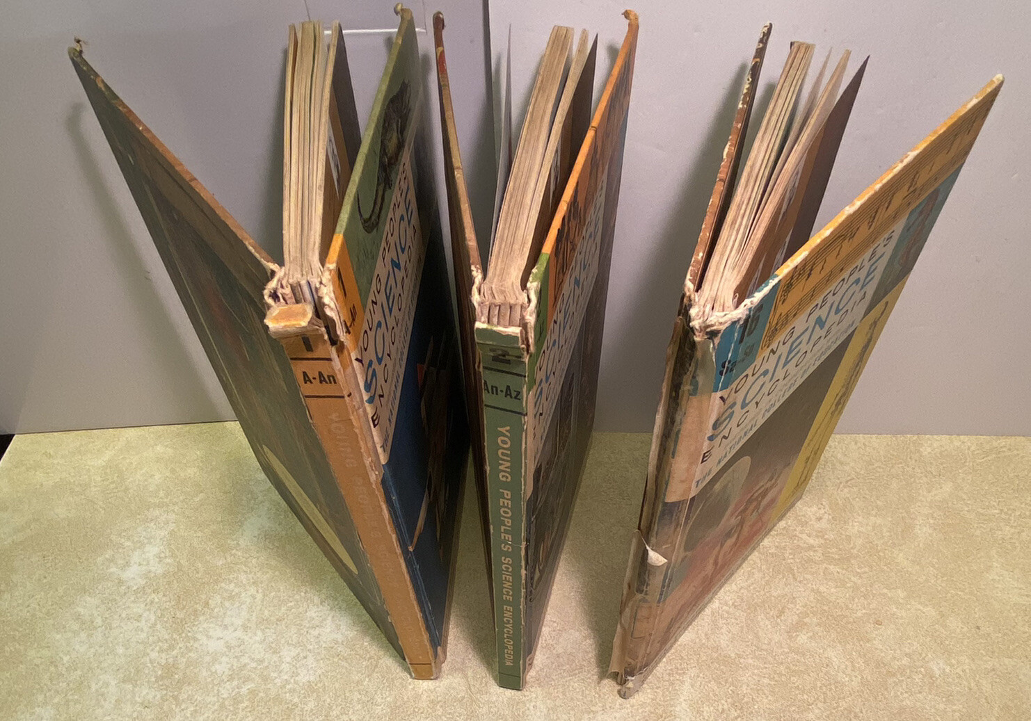 Vintage 1960s Young Peoples Science Encyclopedia Complete 20 Volume Set ...