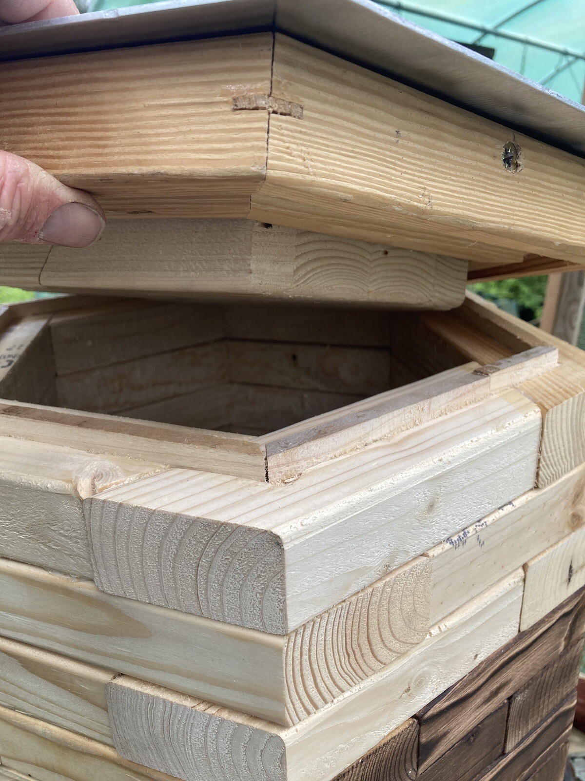 Natural Bee Hive Log Hive Wild Hive Bait Hive Rewilding WITHOUT HONEY ...